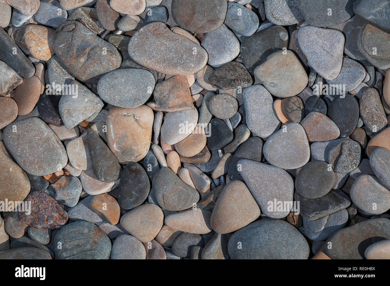 Abstract pattern gray color background with round colorful Stock Photo ...