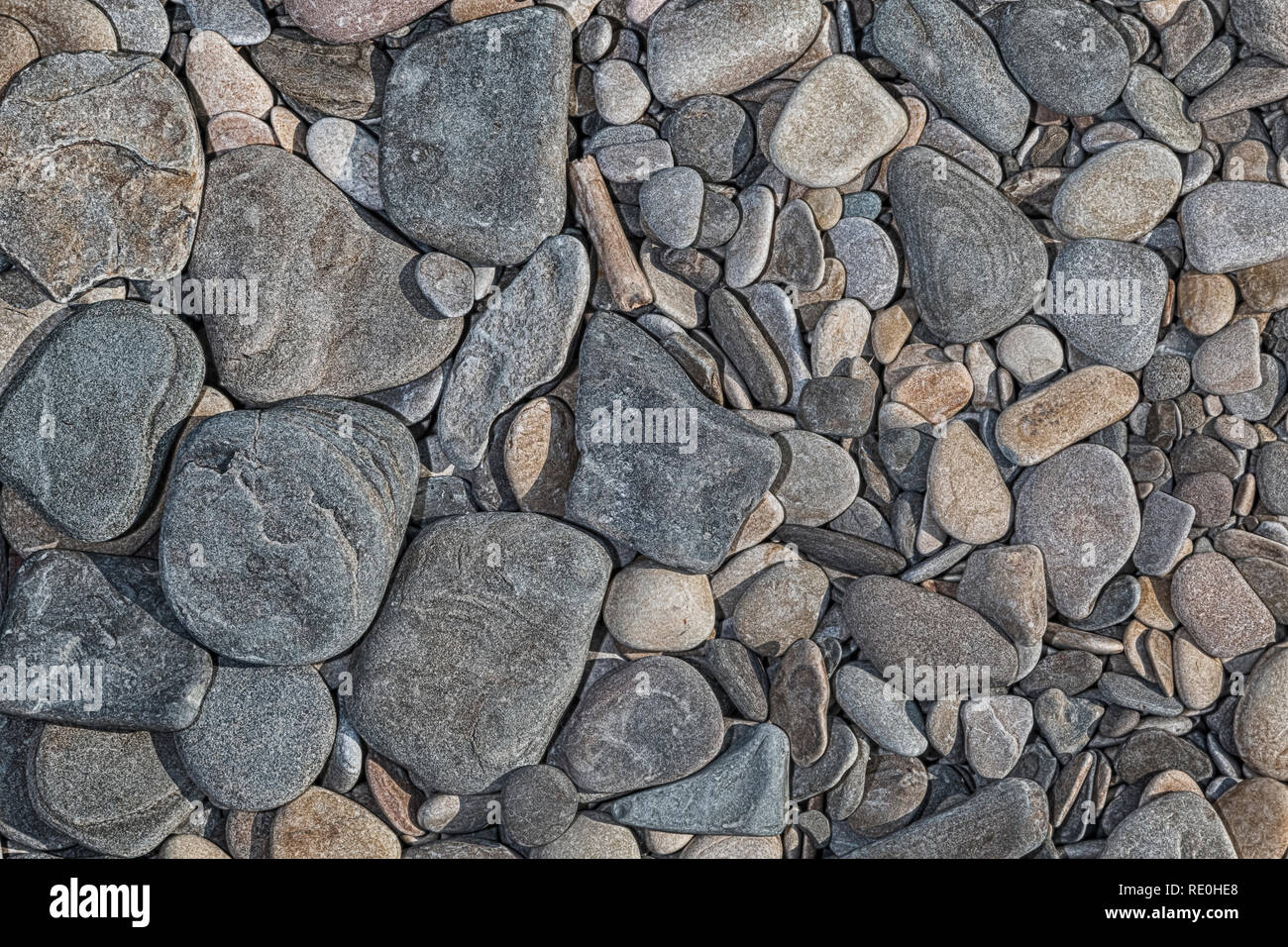 Abstract pattern gray color background with round colorful Stock Photo ...