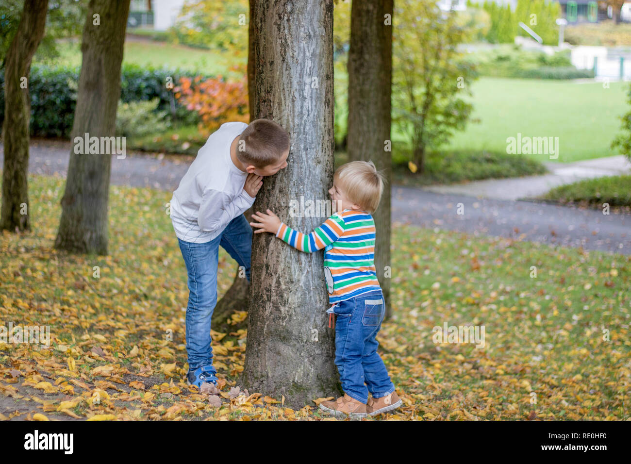 Adorable happy childs, with blond hair peeking around the tree playing ...