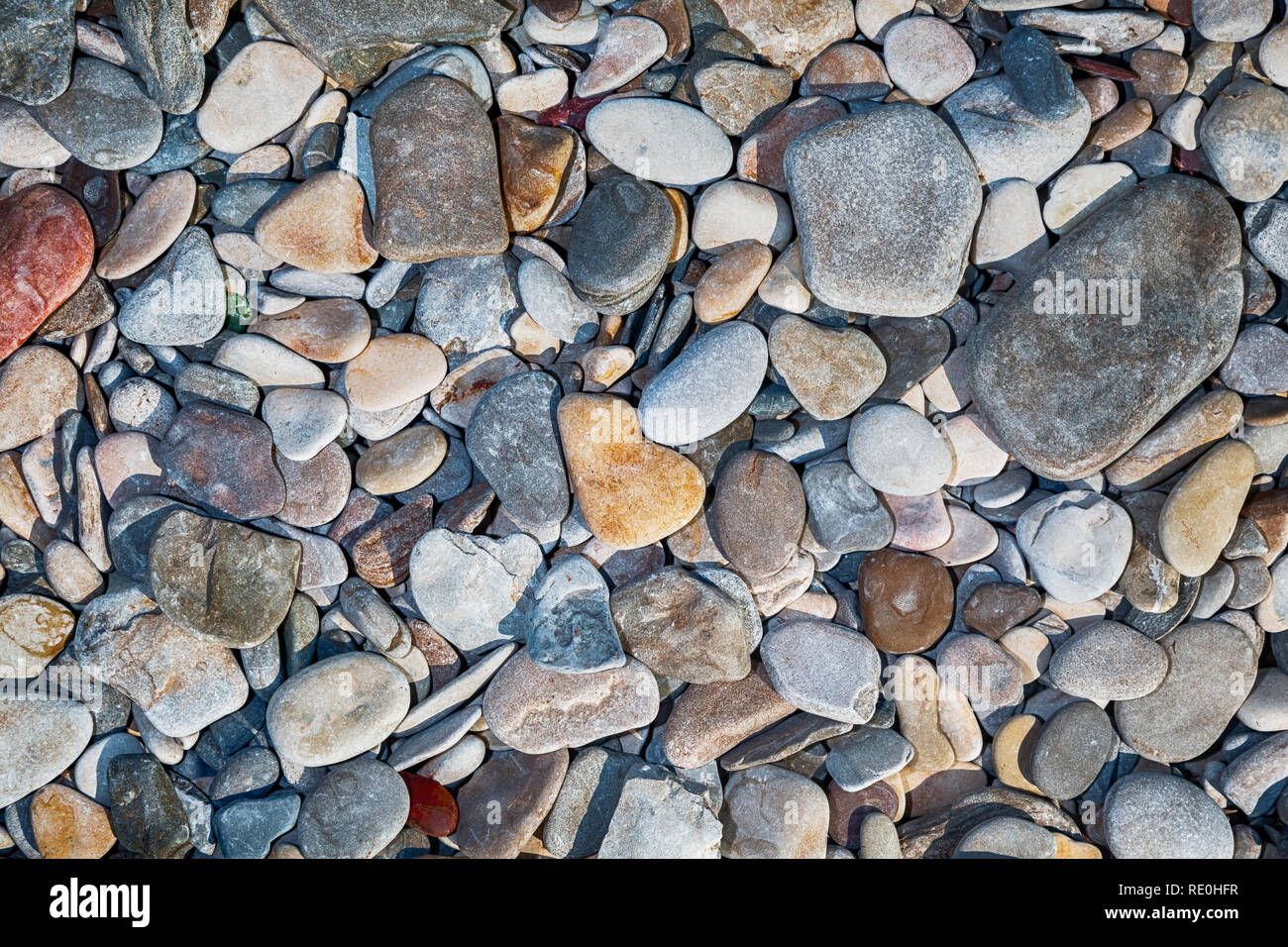 Abstract pattern gray color background with round colorful Stock Photo ...