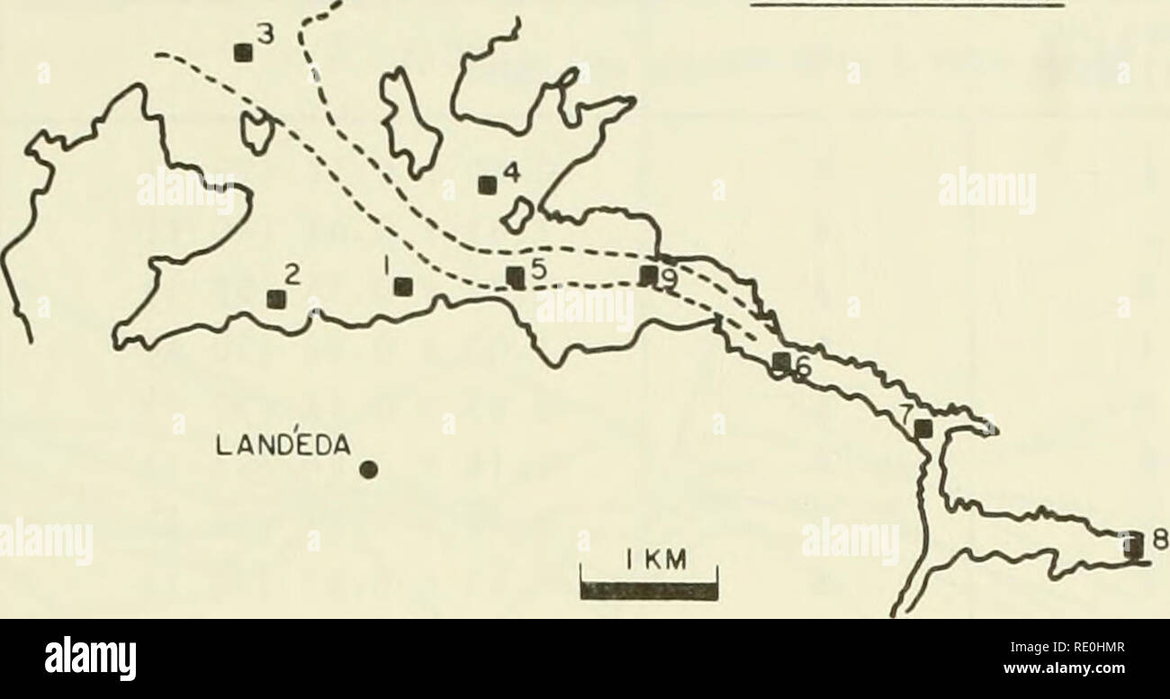 1978 spill of amoco ship cadiz hi-res stock photography and images - Alamy