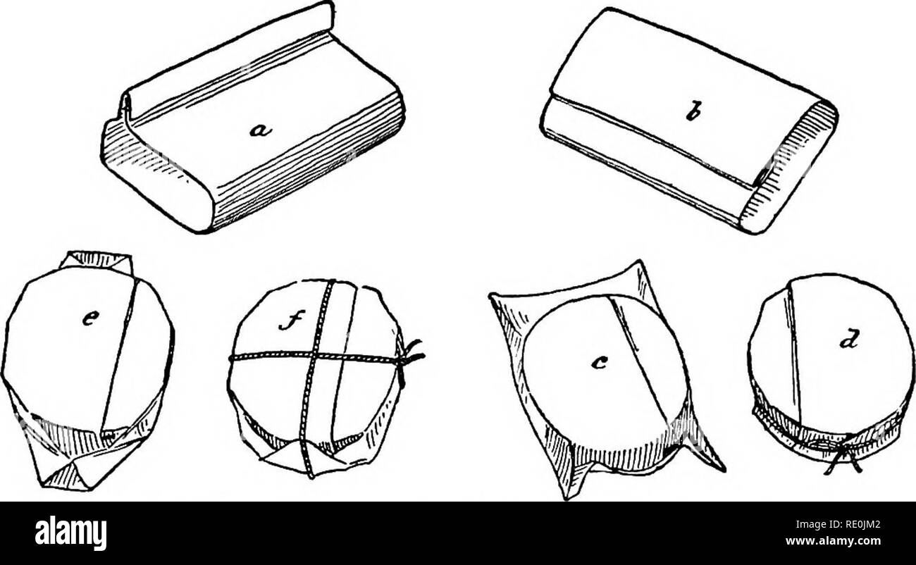 Carefully wrapping Cut Out Stock Images & Pictures - Alamy