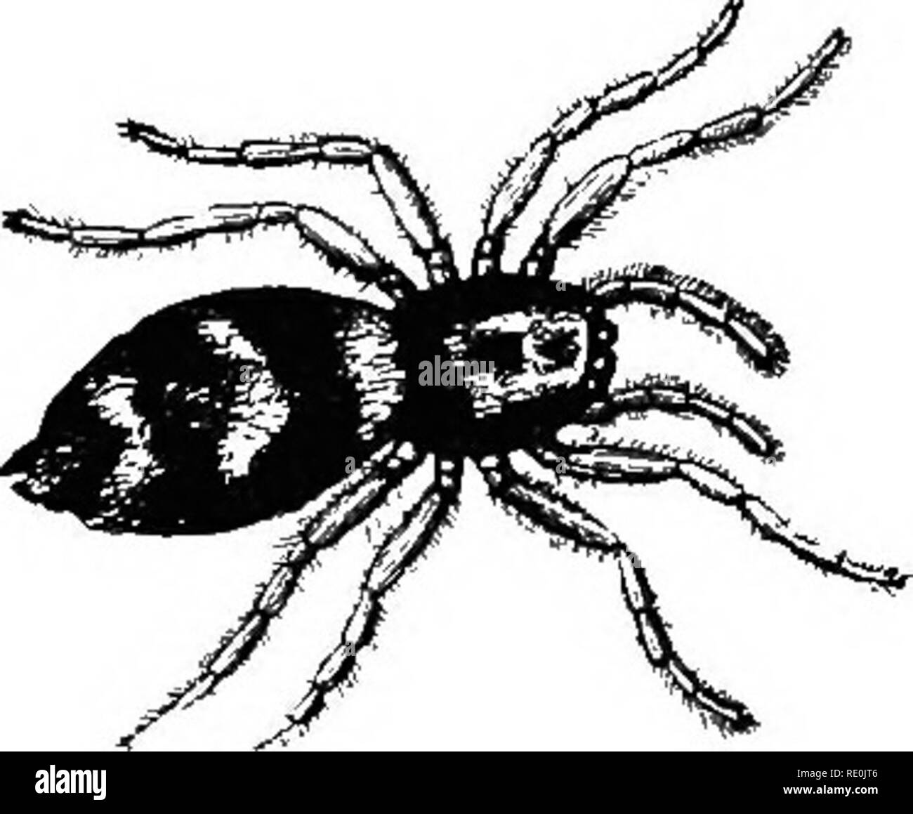 Sunny window ledge Cut Out Stock Images & Pictures - Alamy