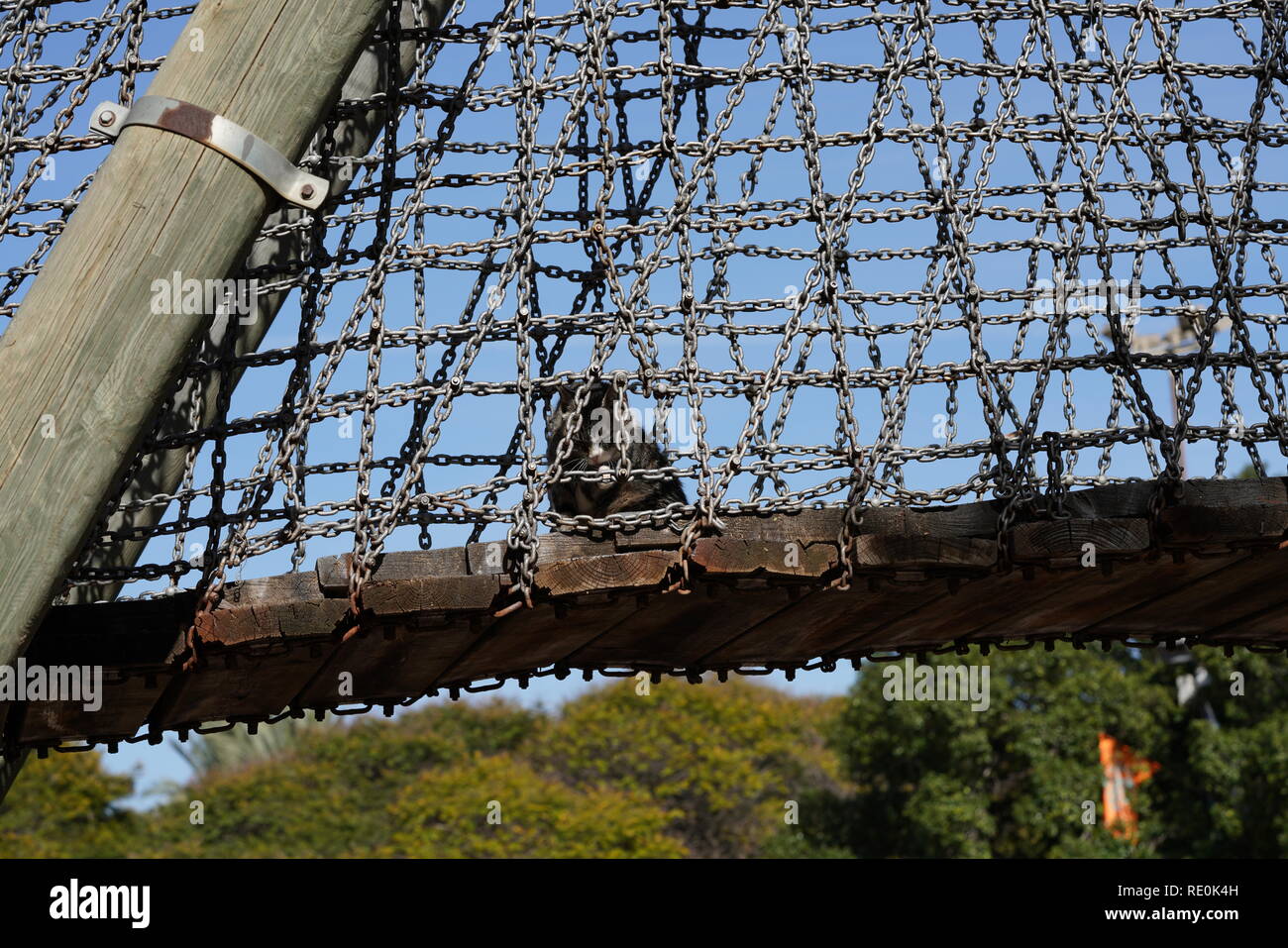 Raanana park City Stock Photo - Alamy