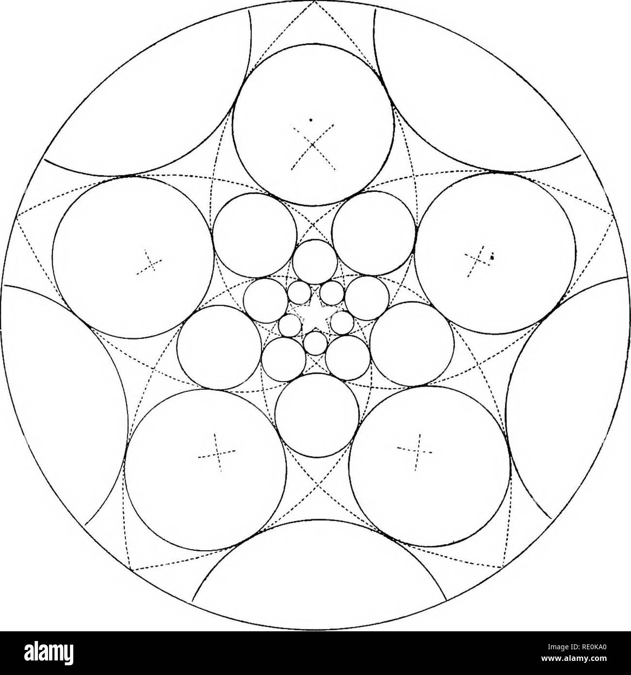 . On the relation of phyllotaxis to mechanical laws. Phyllotaxis ...