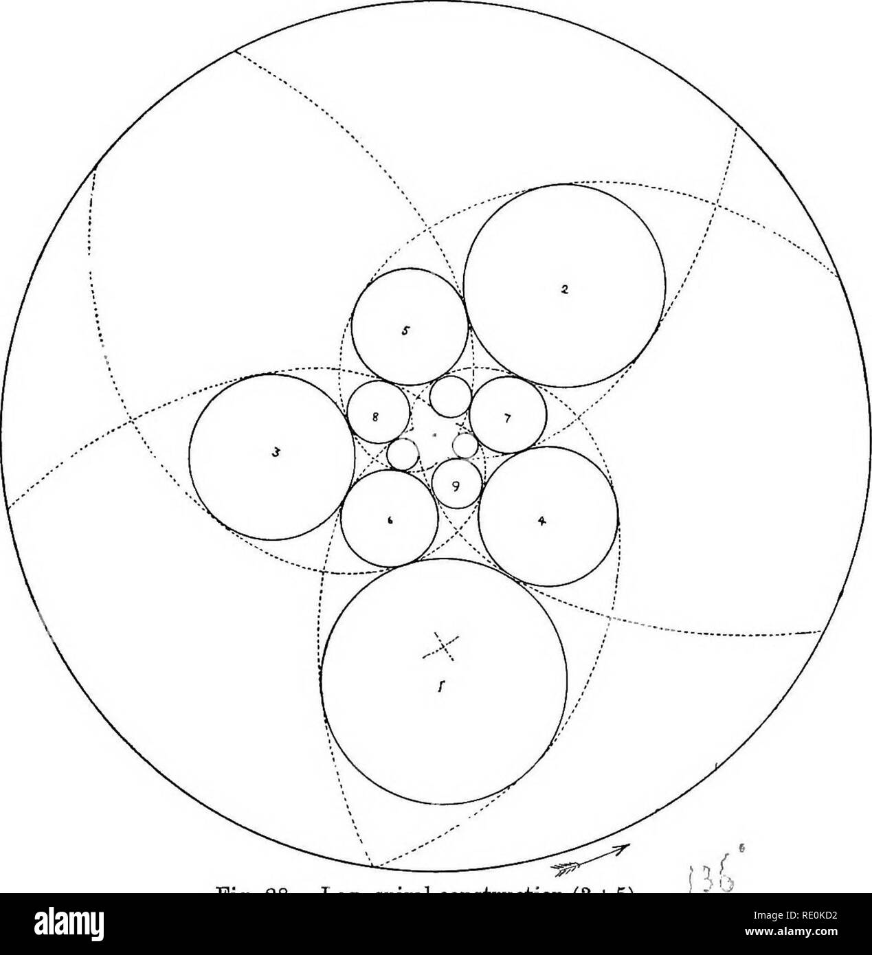 Masses of leaves Black and White Stock Photos & Images - Alamy