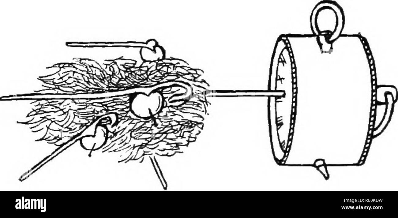 Horizontally attached Black and White Stock Photos & Images - Alamy