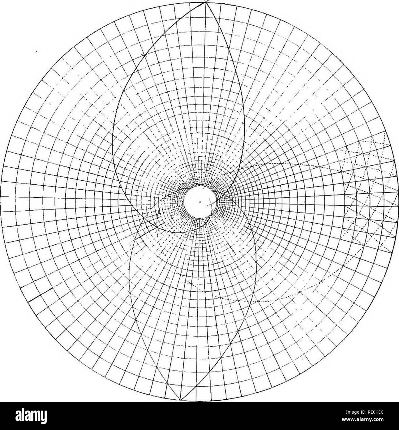 . On the relation of phyllotaxis to mechanical laws. Phyllotaxis ...