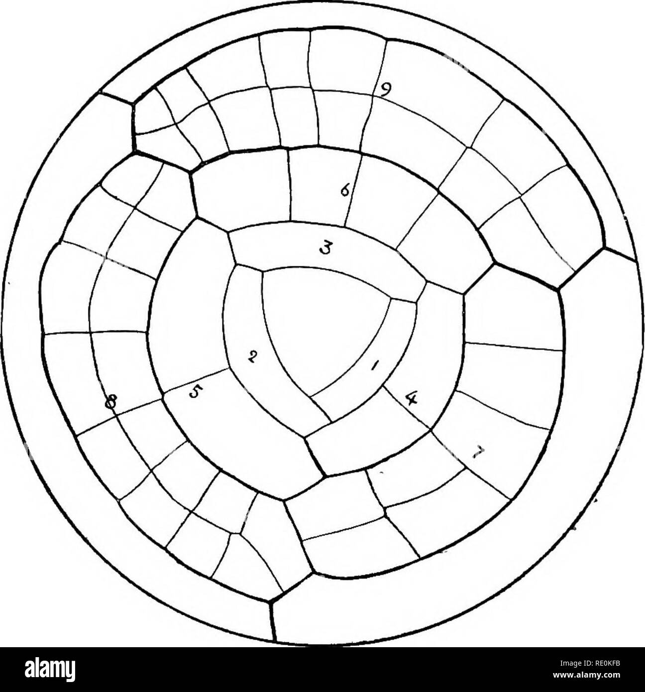 Bulky zone Black and White Stock Photos & Images - Alamy