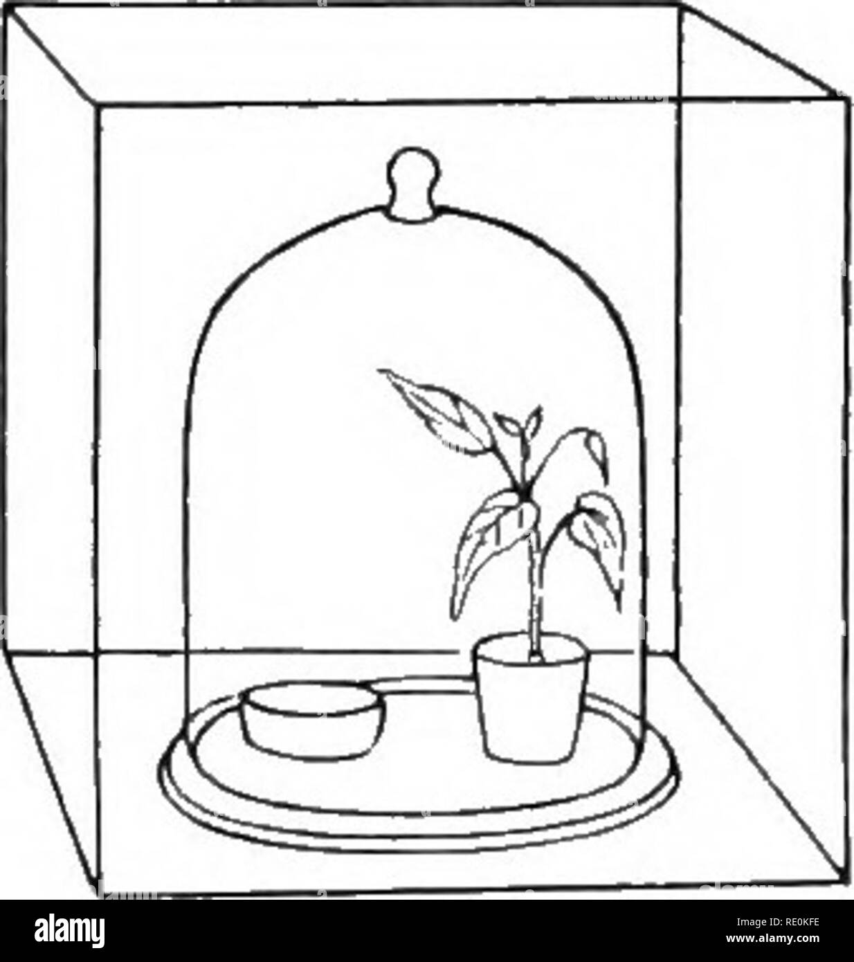 Controlled Experiment Clip Art