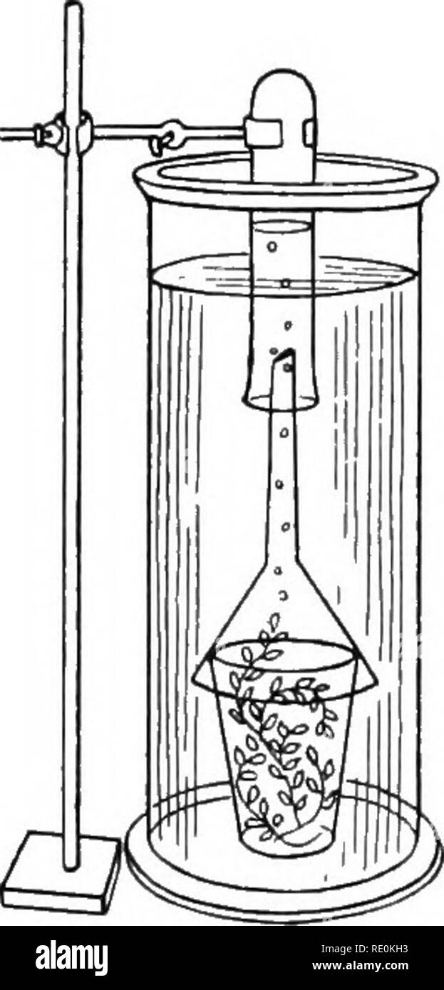 Inverted funnel Black and White Stock Photos & Images - Alamy