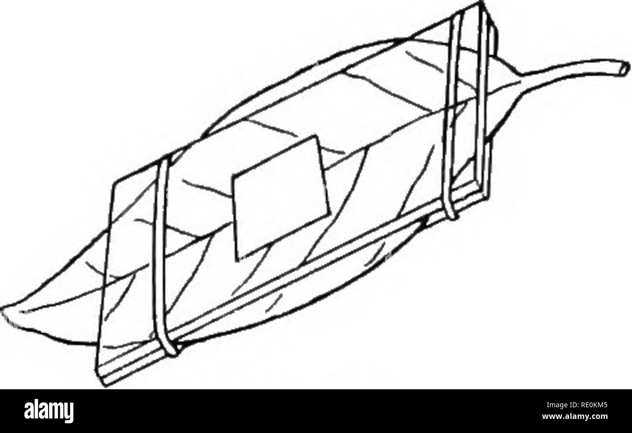 . Experimental plant physiology for beginners. Plant physiology. 28 ...