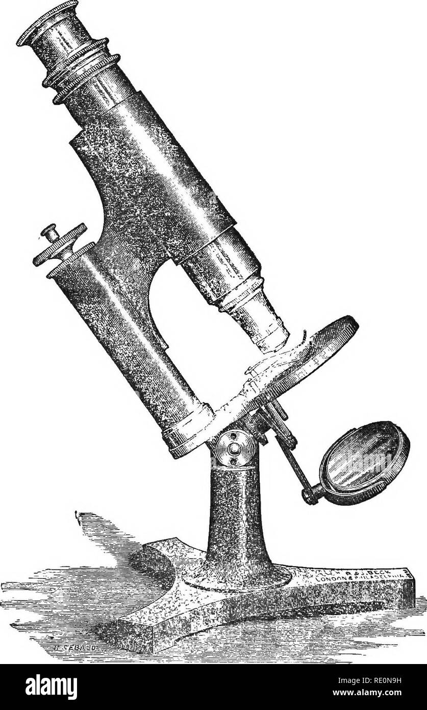 . The elements of botany embracing organography, histology, vegetable ...