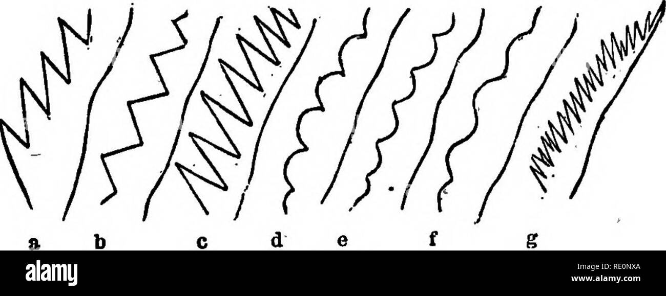 Deep incisions hi-res stock photography and images - Alamy