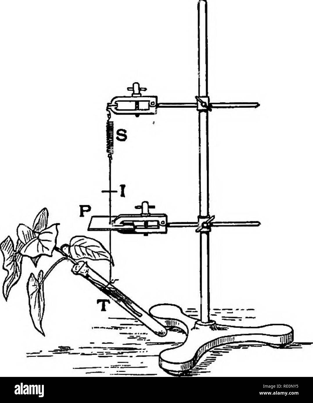 Spring balance weight Black and White Stock Photos & Images - Alamy