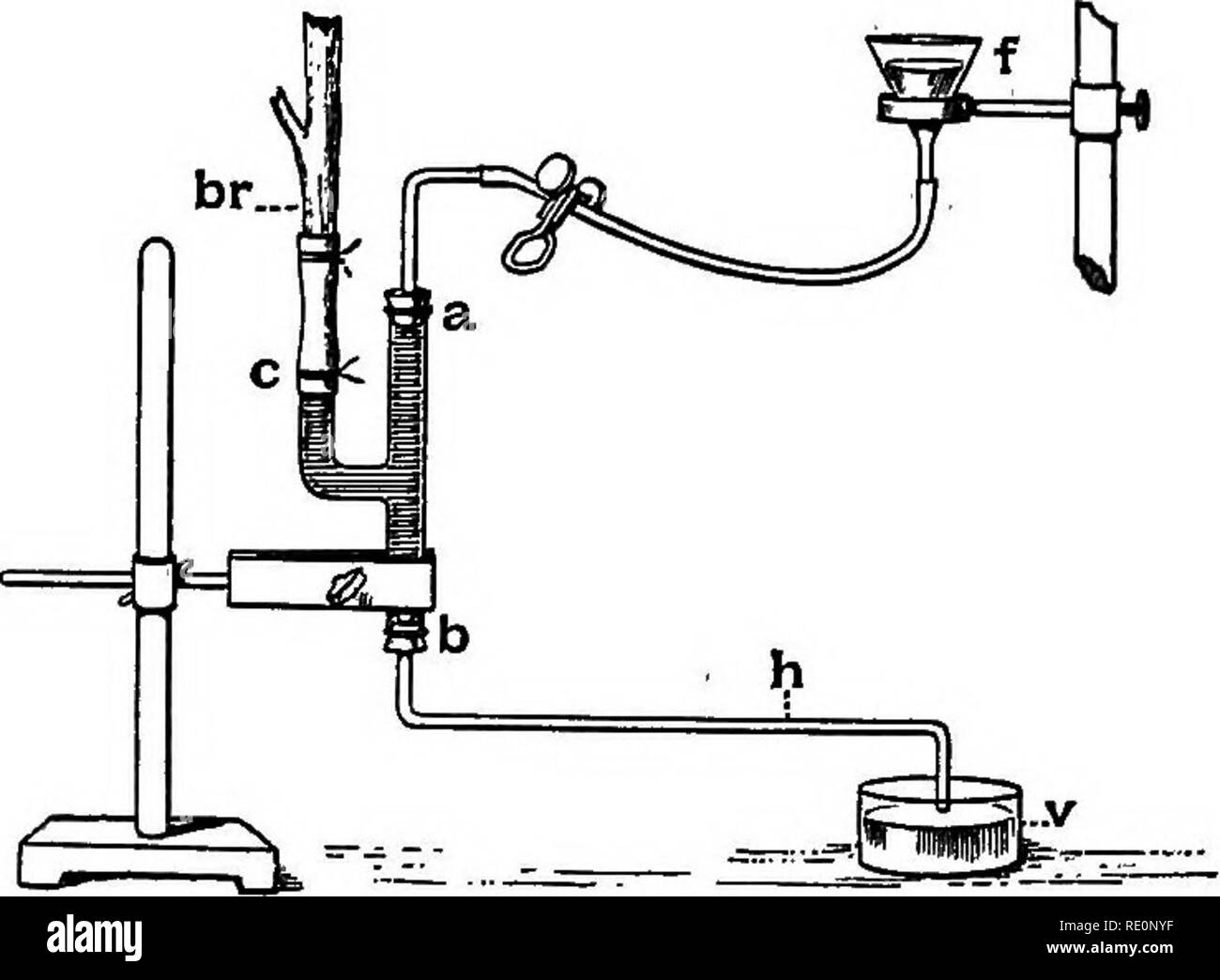 . Practical physiology of plants. Plant physiology; 1894. 76 KOHL'S ...