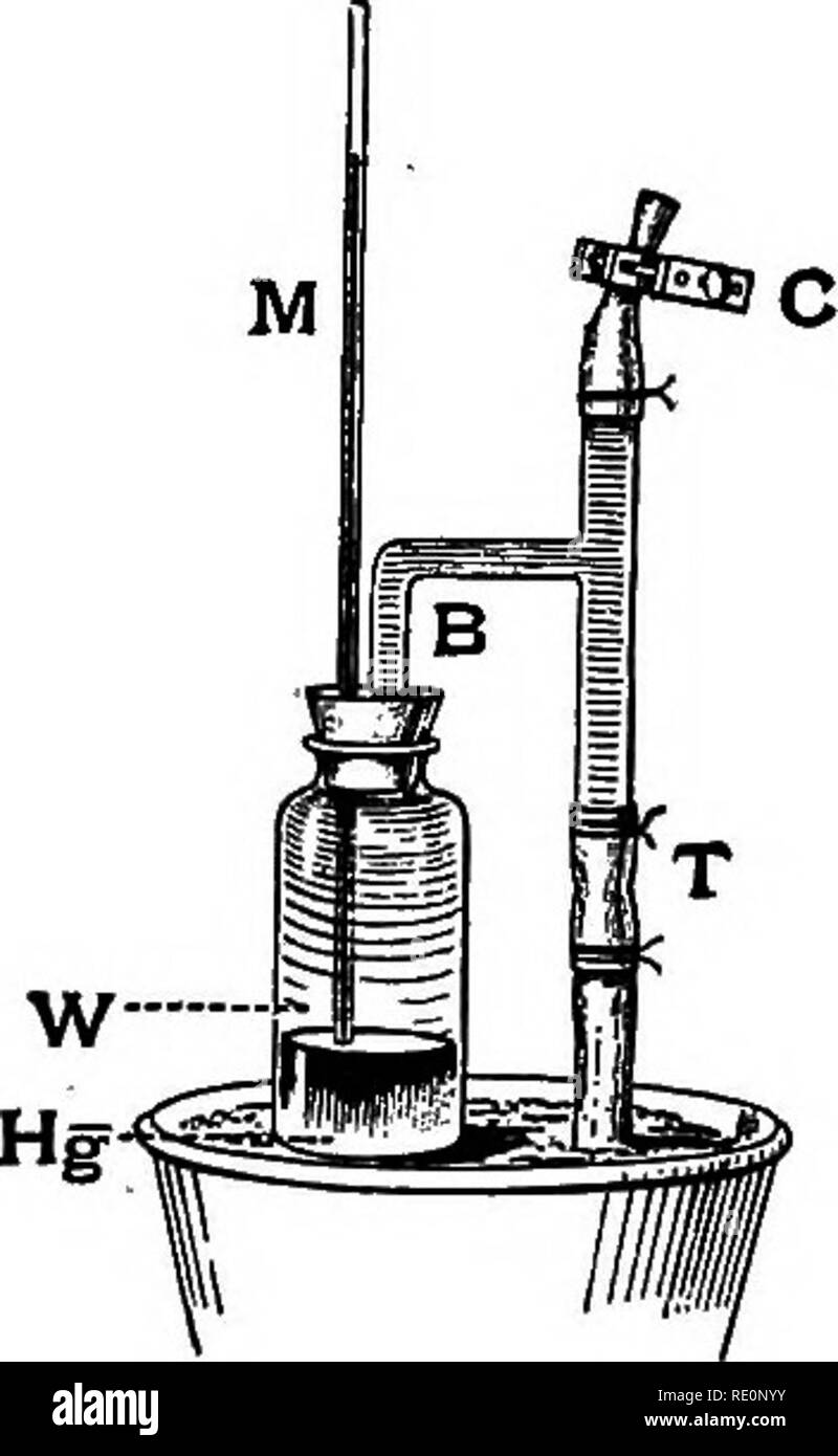 . Practical physiology of plants. Plant physiology; 1894. CH.IIl] ROOT ...