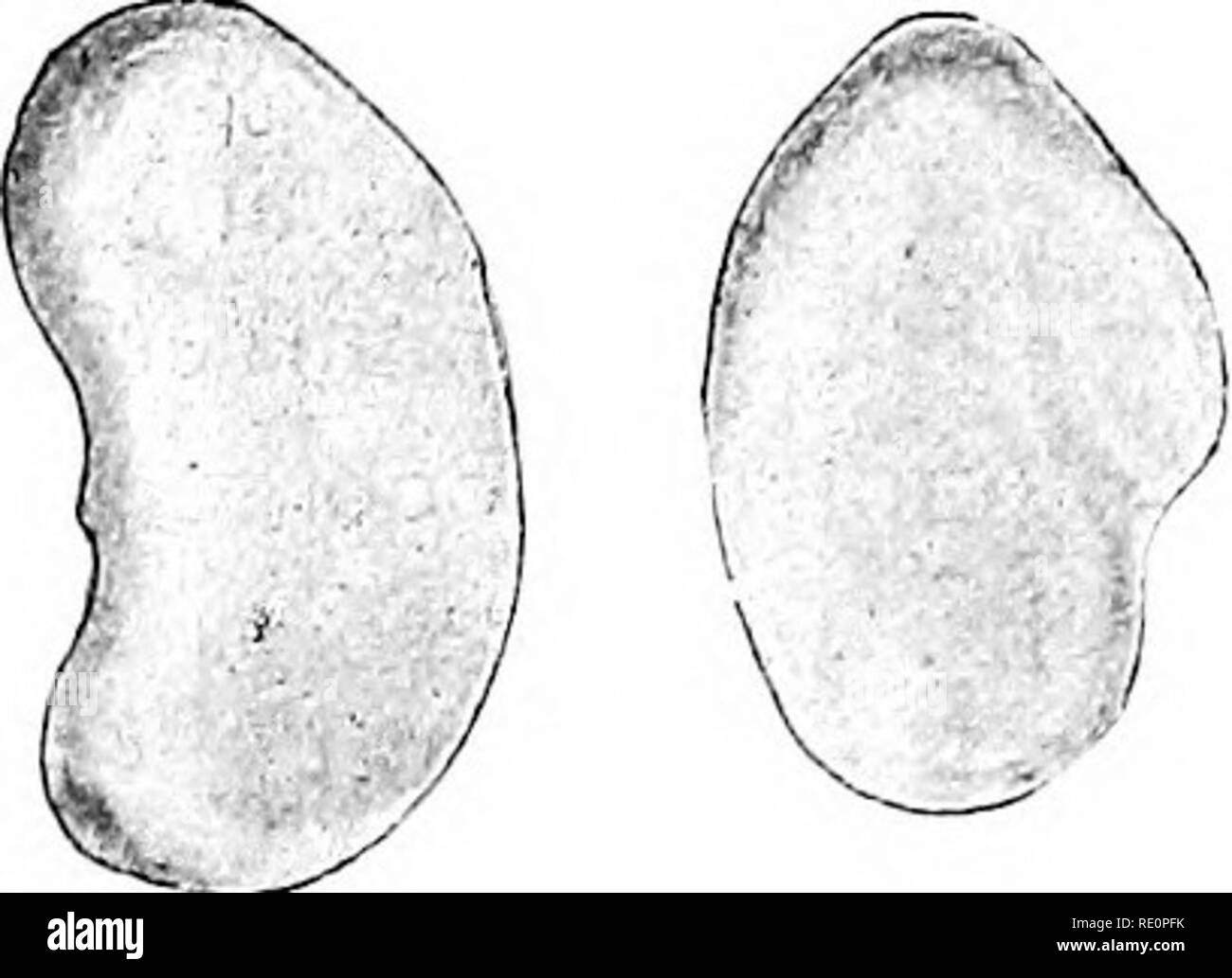Ingredients and thickness Black and White Stock Photos & Images - Alamy
