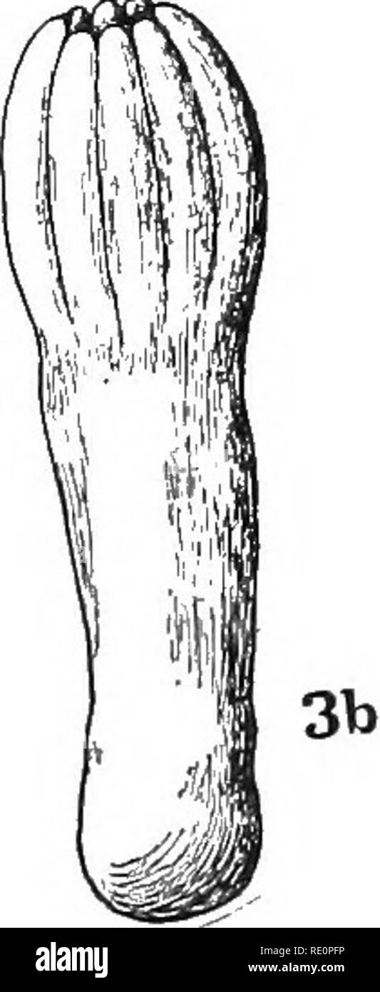 R external view Black and White Stock Photos & Images - Alamy