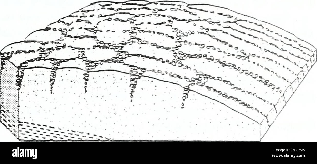 . An Ecological land classification framework for the United States ...