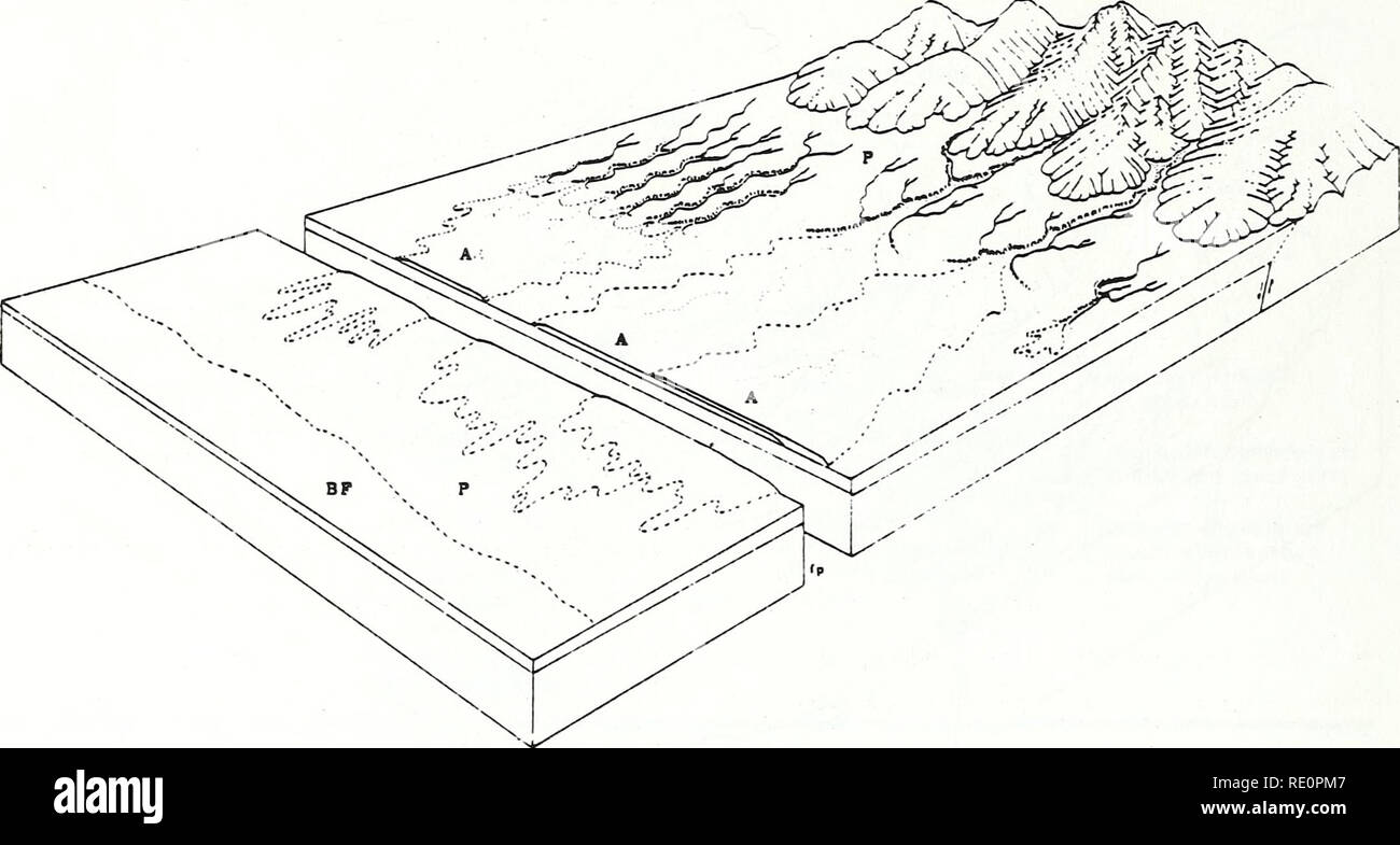 Landform Elevation Drawing