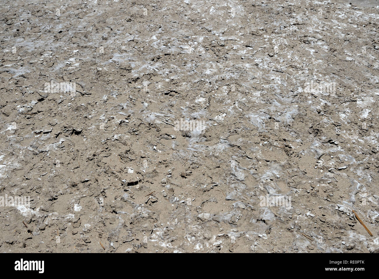 Dry land background. Salt Creek Trail in Death Valley National Park ...