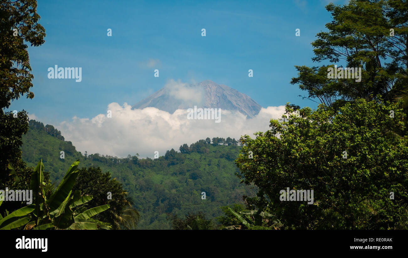 tropical landscape mountains covered green tropical forest, blue sky ...
