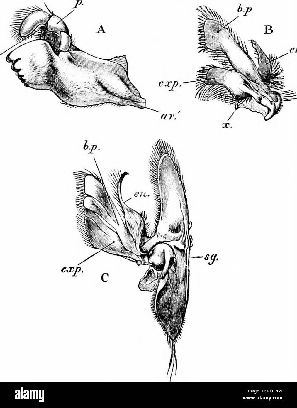 . An introduction to the study of zoology : by T. H. Huxley, F. R. S ...