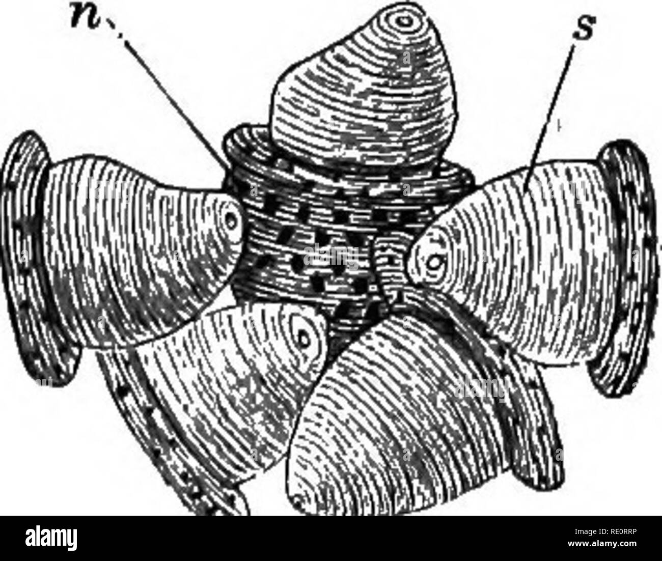 . An introduction to vegetable physiology. Plant physiology. Fig. 111 ...