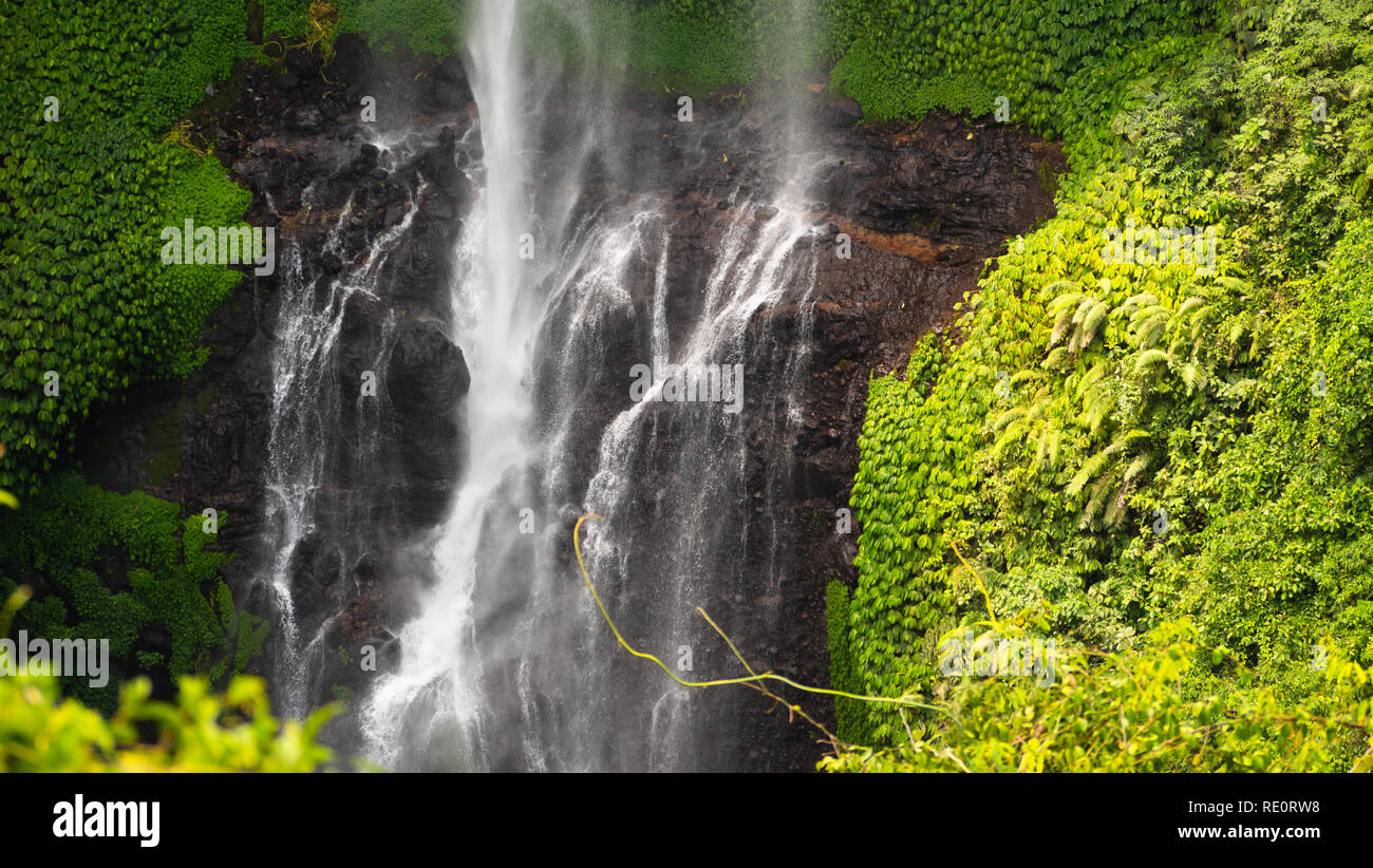 waterfall in green rainforest. tropical waterfall in mountain jungle ...