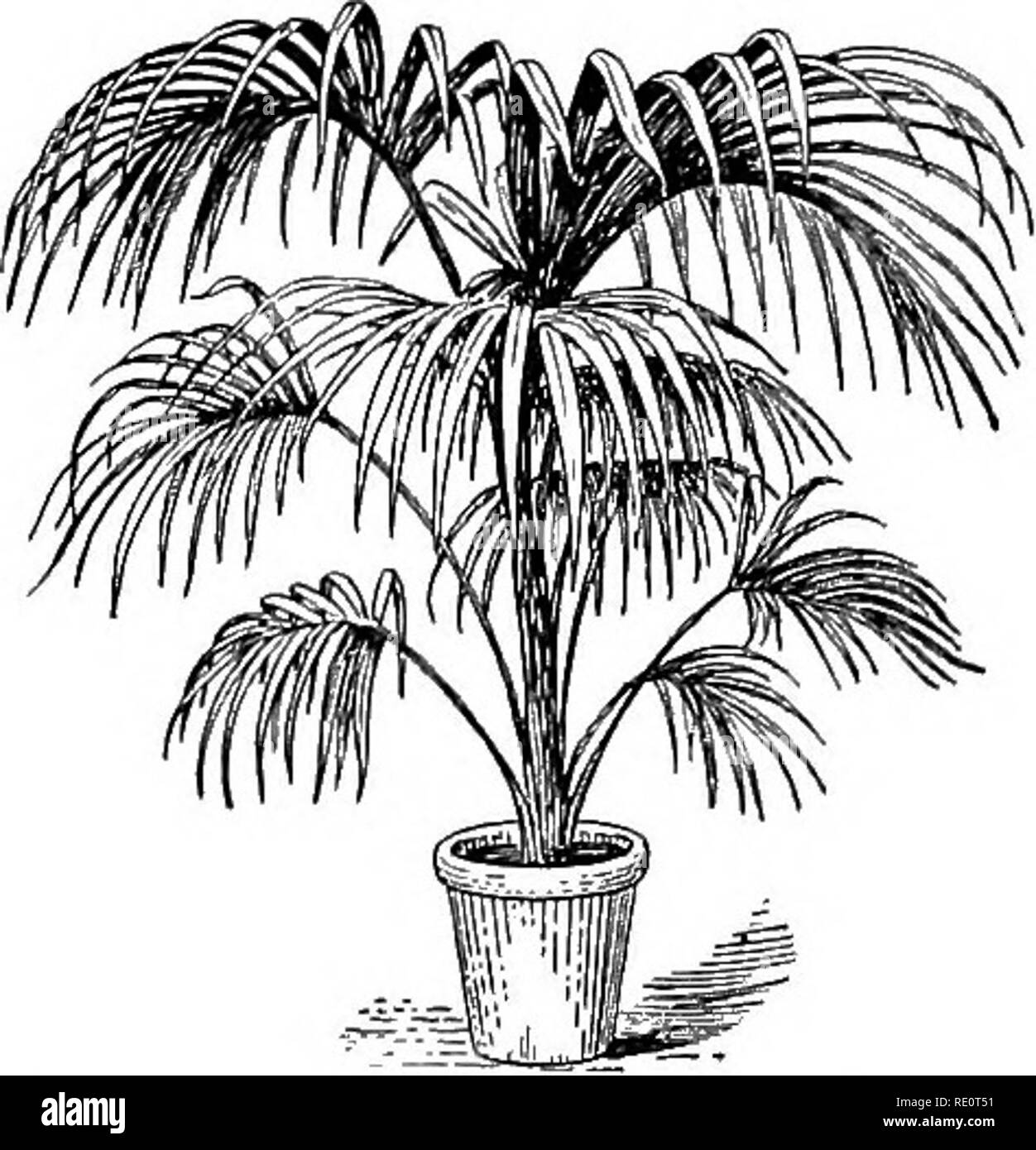 . Botany all the year round; a practical text-book for schools. Botany ...