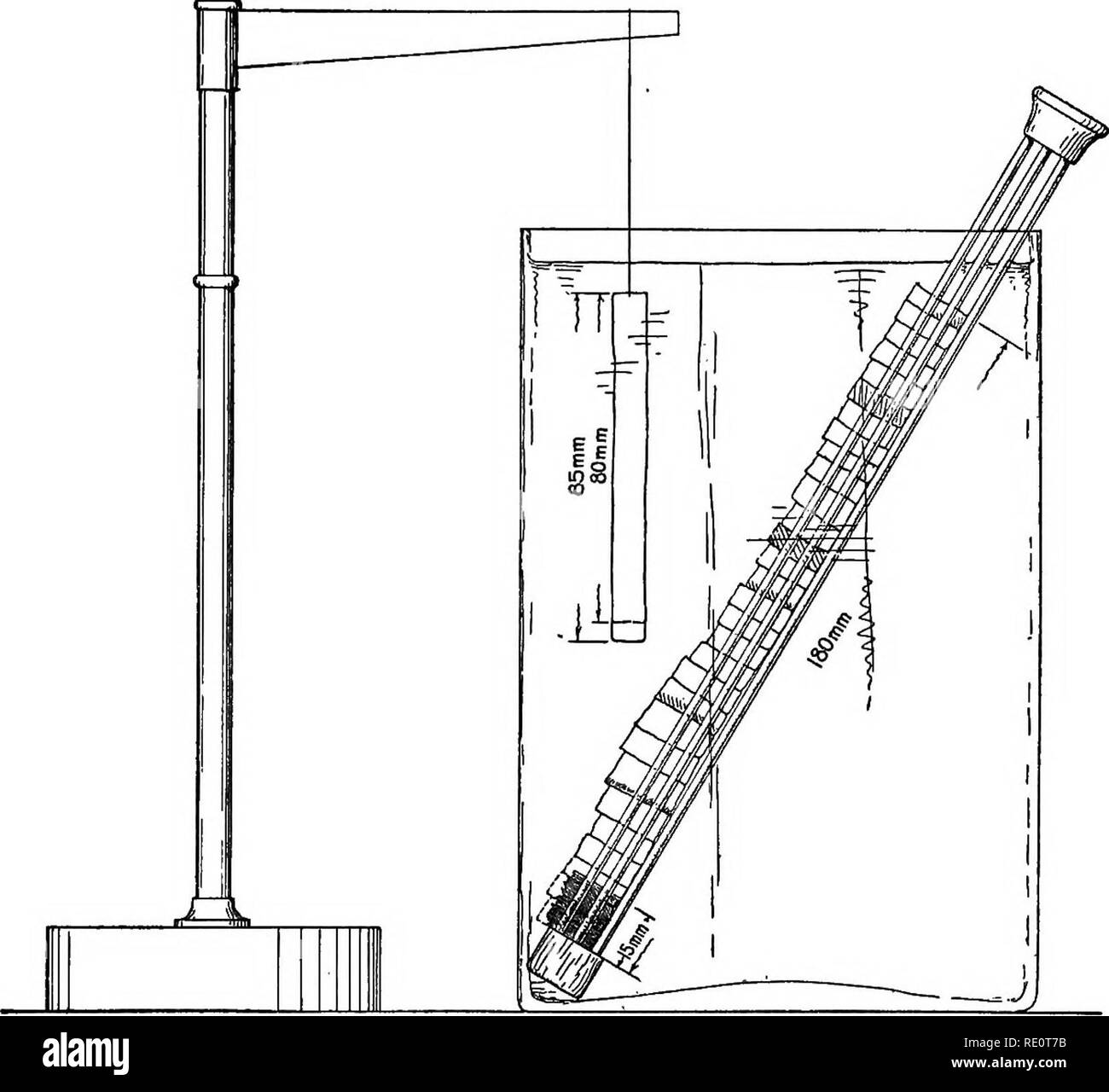 Marginal strip hi-res stock photography and images - Alamy