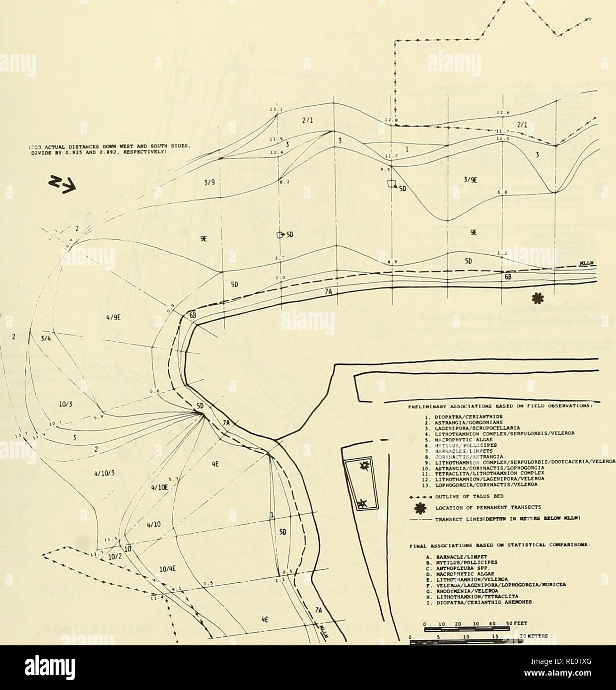Quadrant ecology hi-res stock photography and images - Alamy