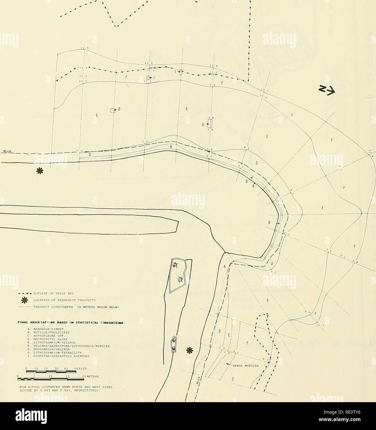 Quadrant ecology hi-res stock photography and images - Alamy