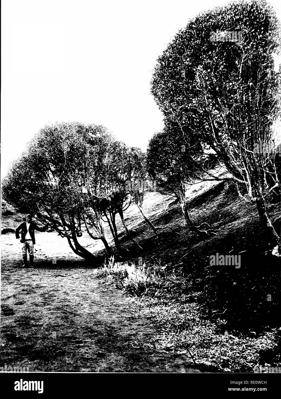 Joseph f rock hi-res stock photography and images - Alamy