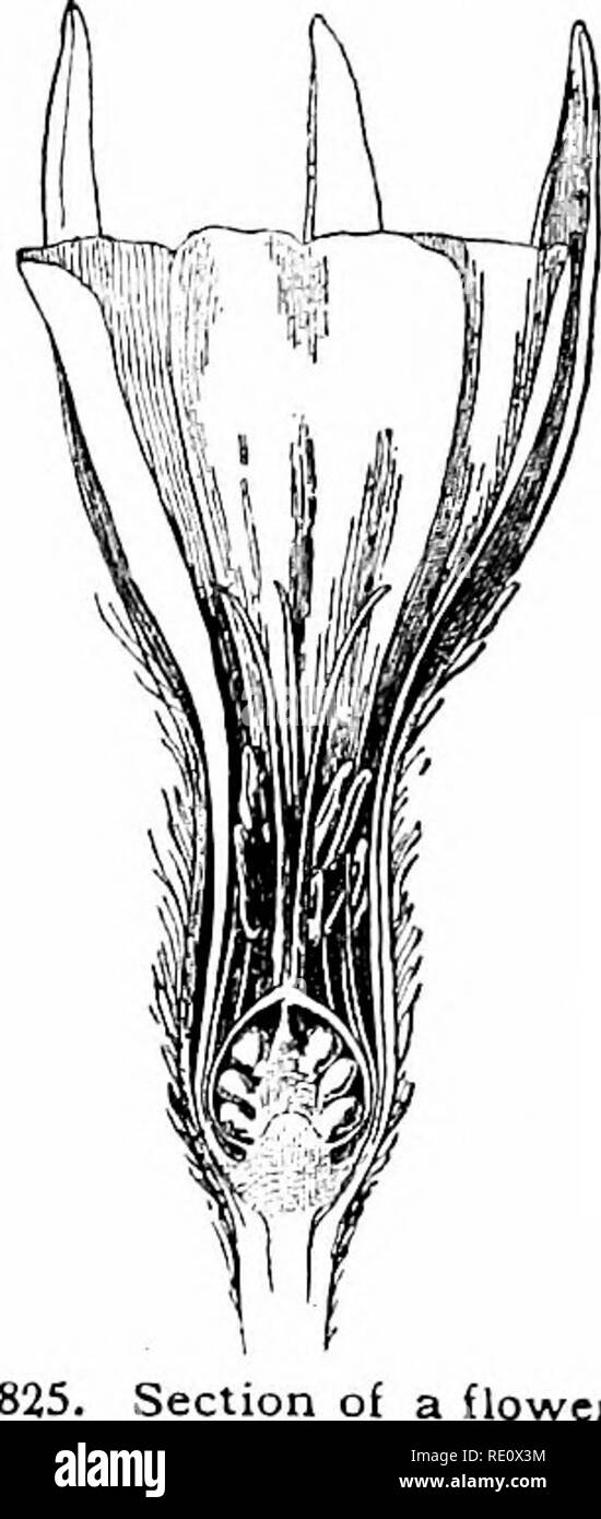 Florida landscaping Black and White Stock Photos & Images - Alamy