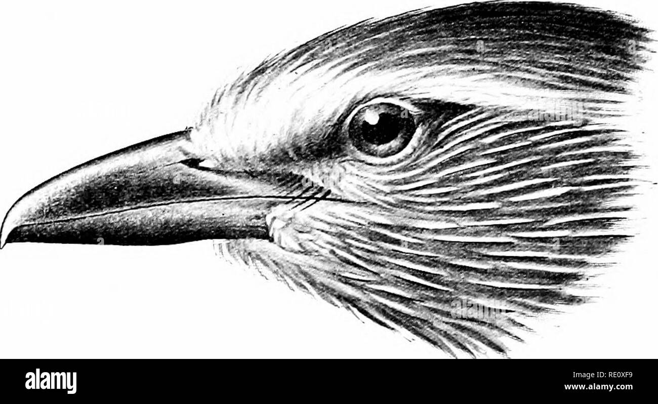 Carpal Edge High Resolution Stock Photography and Images - Alamy