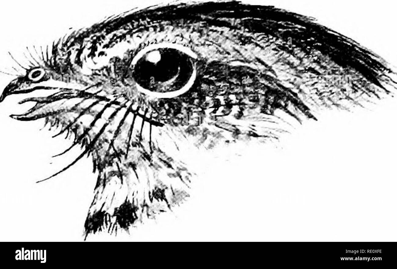 8 x 67 Black and White Stock Photos & Images - Alamy