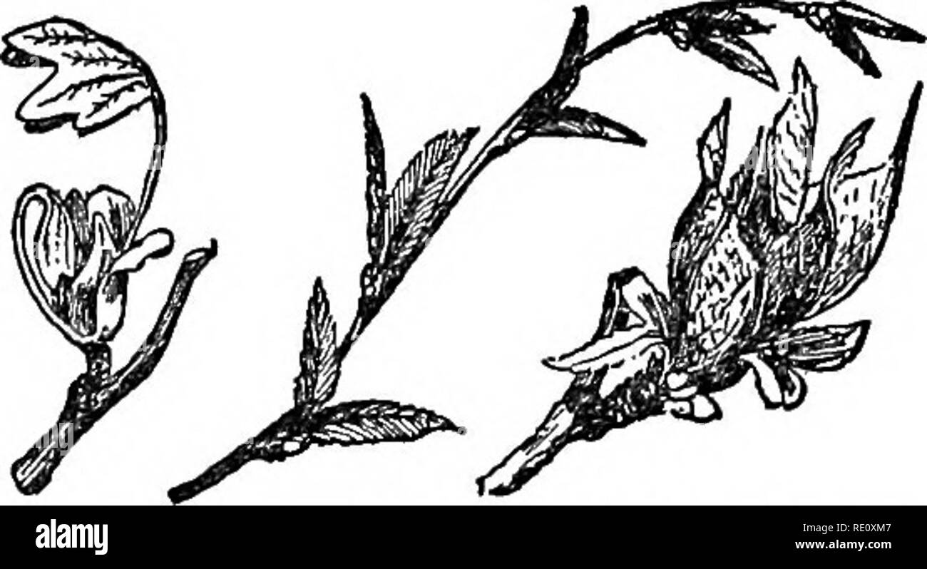 In coming call Black and White Stock Photos & Images - Alamy