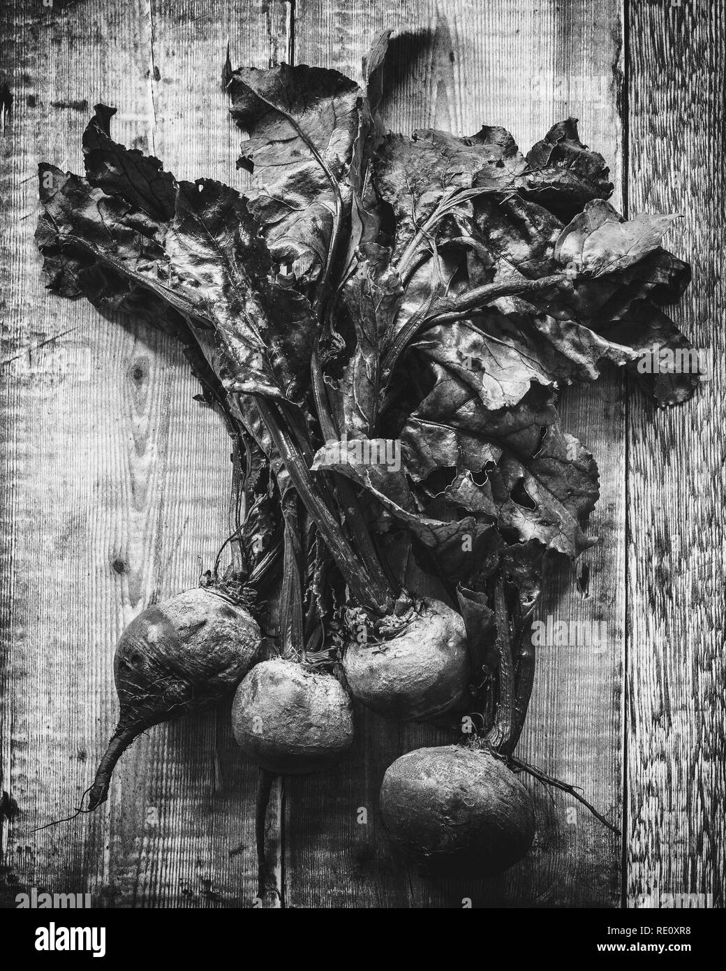 Beetroot Black and White Stock Photos & Images - Alamy