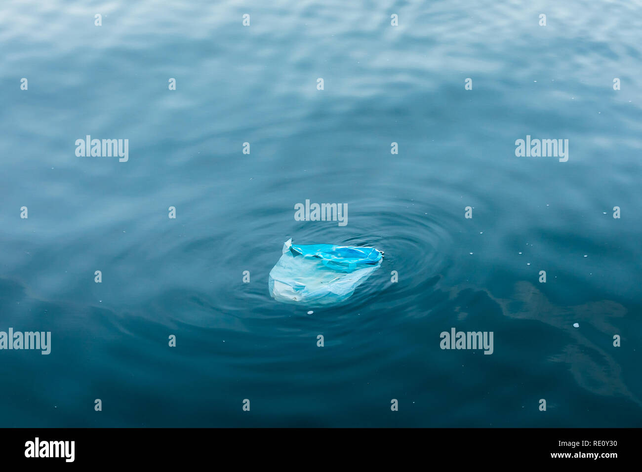 plastic shopping bag floating and polluting the water, sea and ocean ...