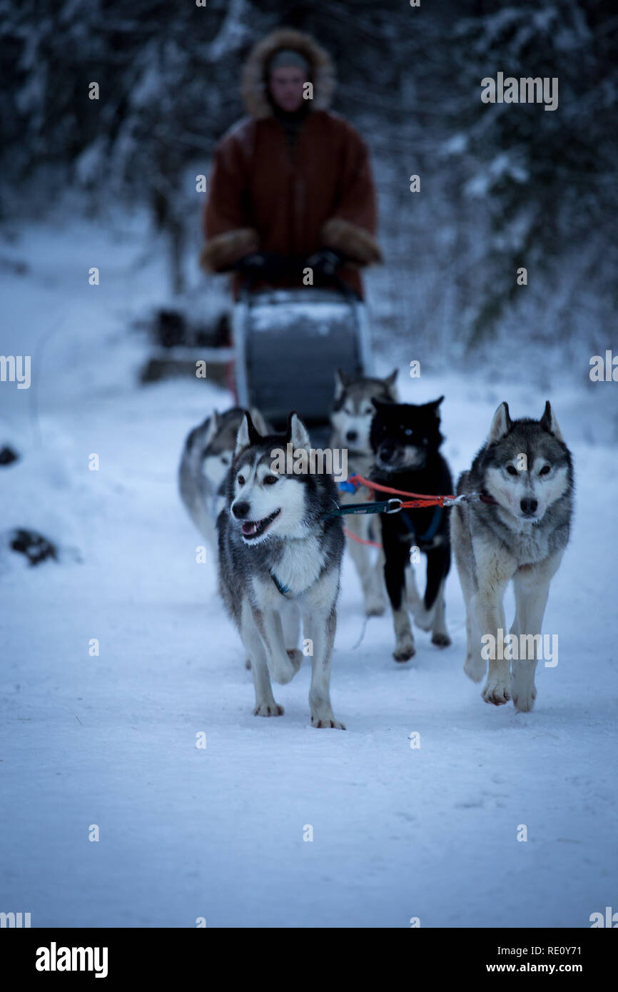 Snow speed sled hi-res stock photography and images - Alamy