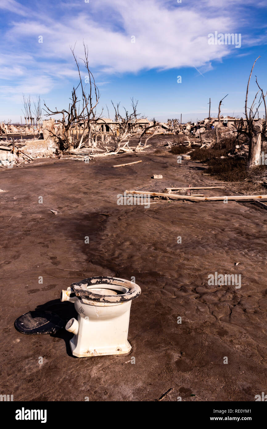 Dead trees in the city of Epecuen. Desolate landscape without people ...