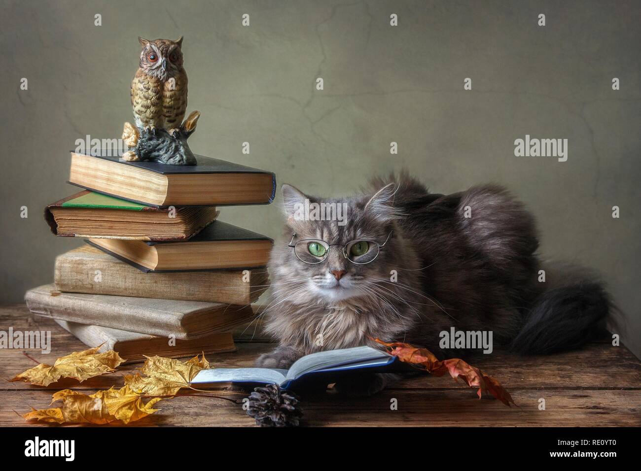 Funny still life glasses hi-res stock photography and images - Alamy