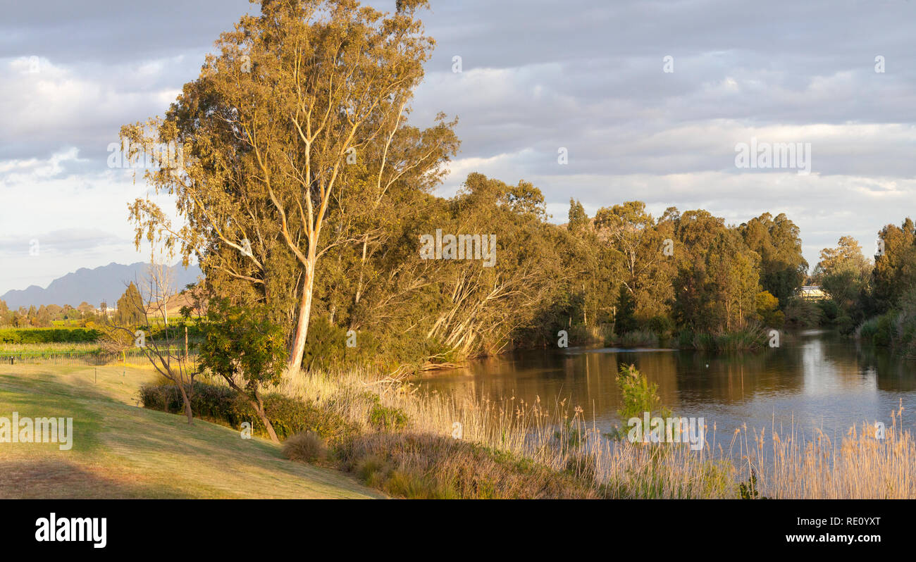 Robertson l hi-res stock photography and images - Alamy