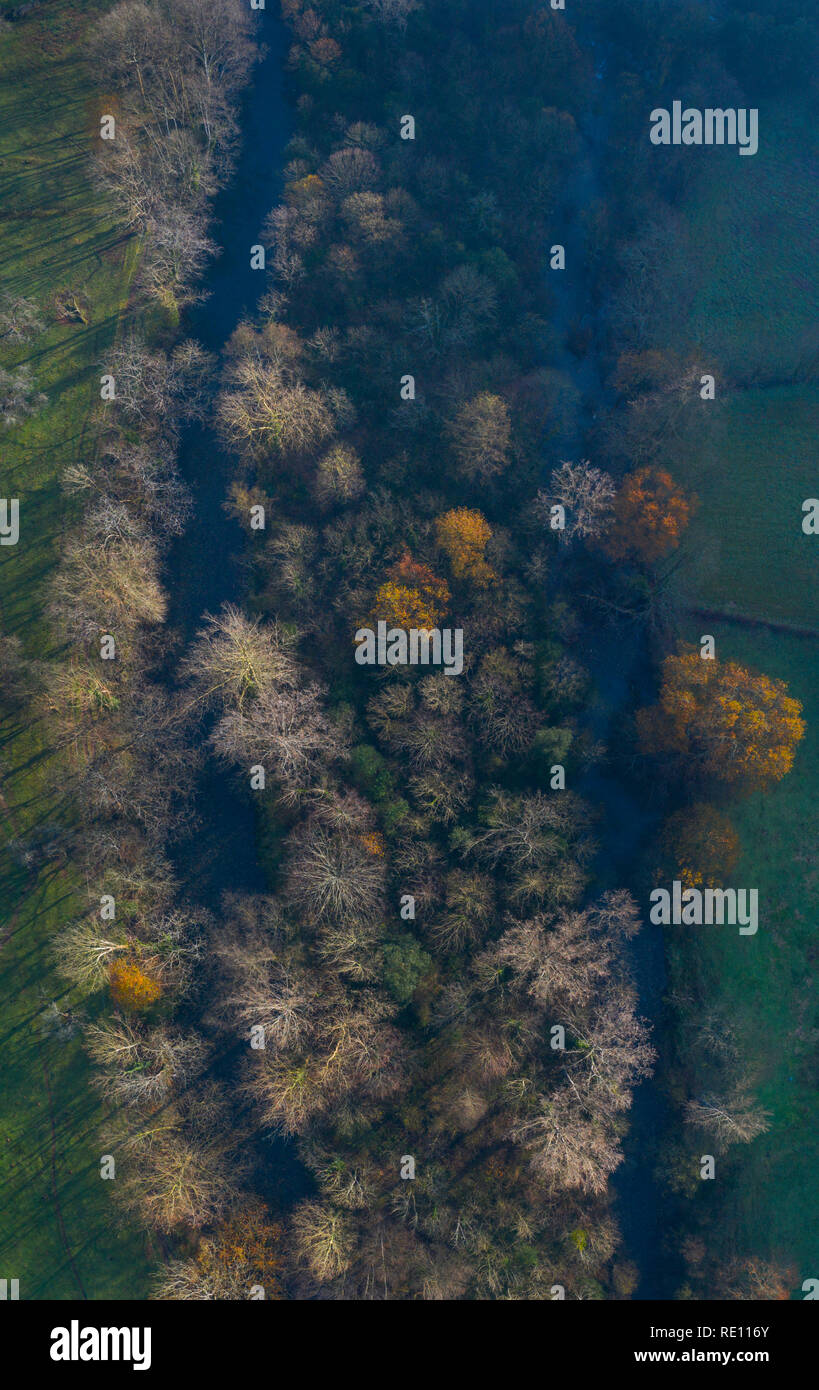 GALLERY FORESTS (Bosque de Ribera, Soto), Ason river, RamalesCantabria ...