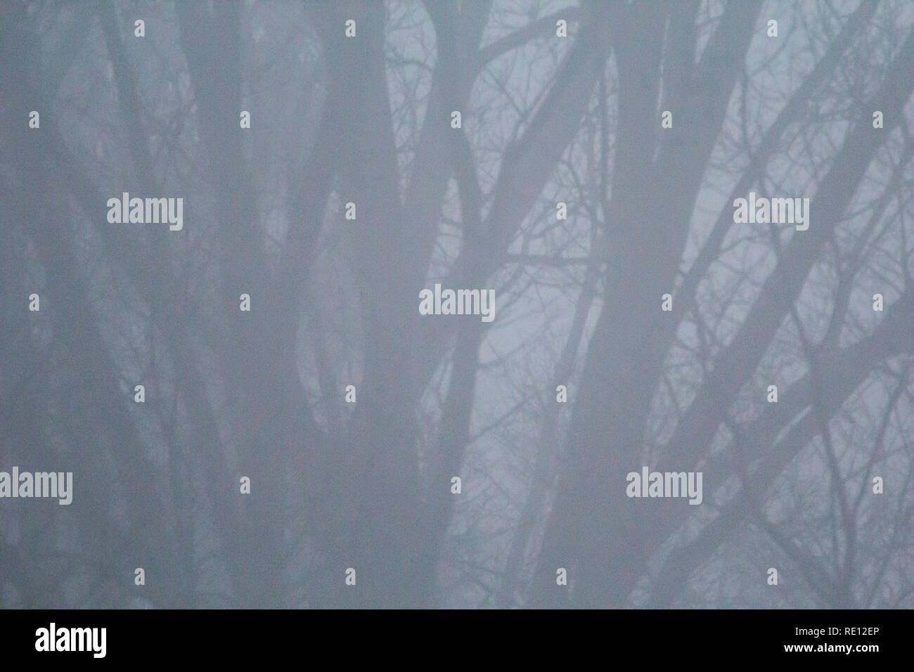 Winter Fog, Ohio Stock Photo - Alamy