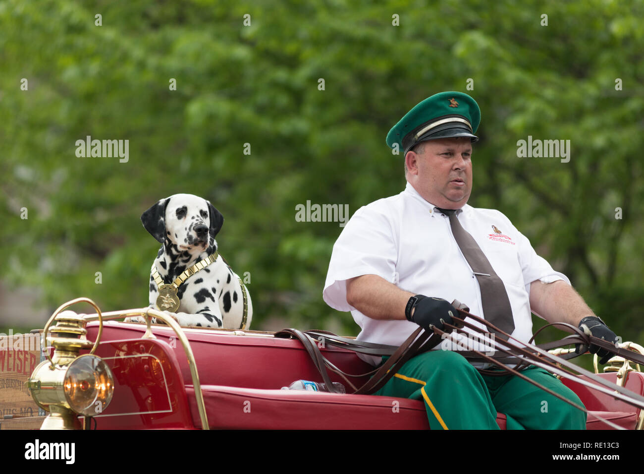 Pulling a wagon with dog hi-res stock photography and images - Alamy
