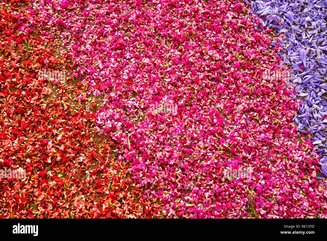 flowers petals background Stock Photo - Alamy