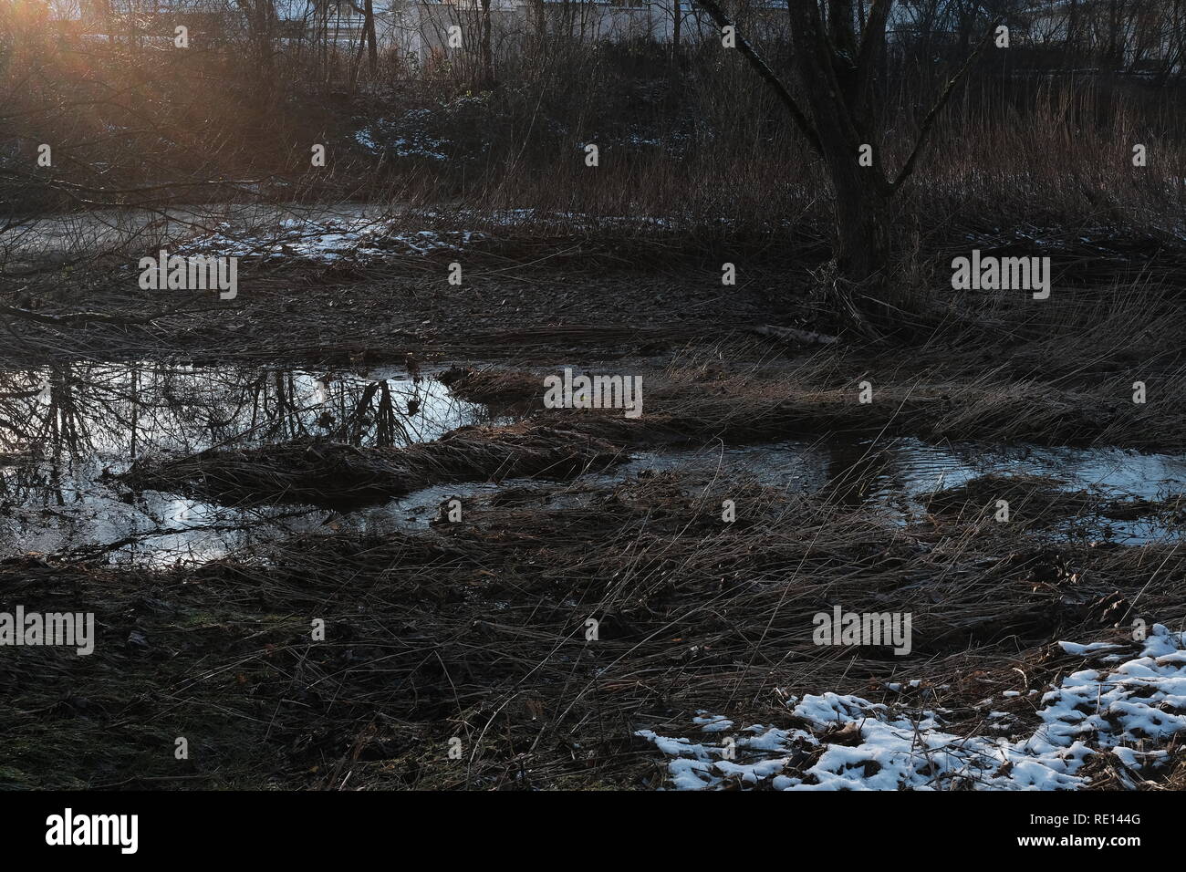 Flood of a river during winter at German Area Sieg Stock Photo - Alamy